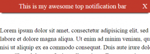 Pure CSS Notification Bars